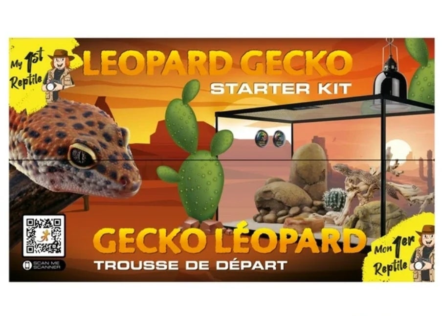 Leopard Gecko My 1st Reptile Starter Kit 10 gallon | CRAZY FROG LADY L.L.C.