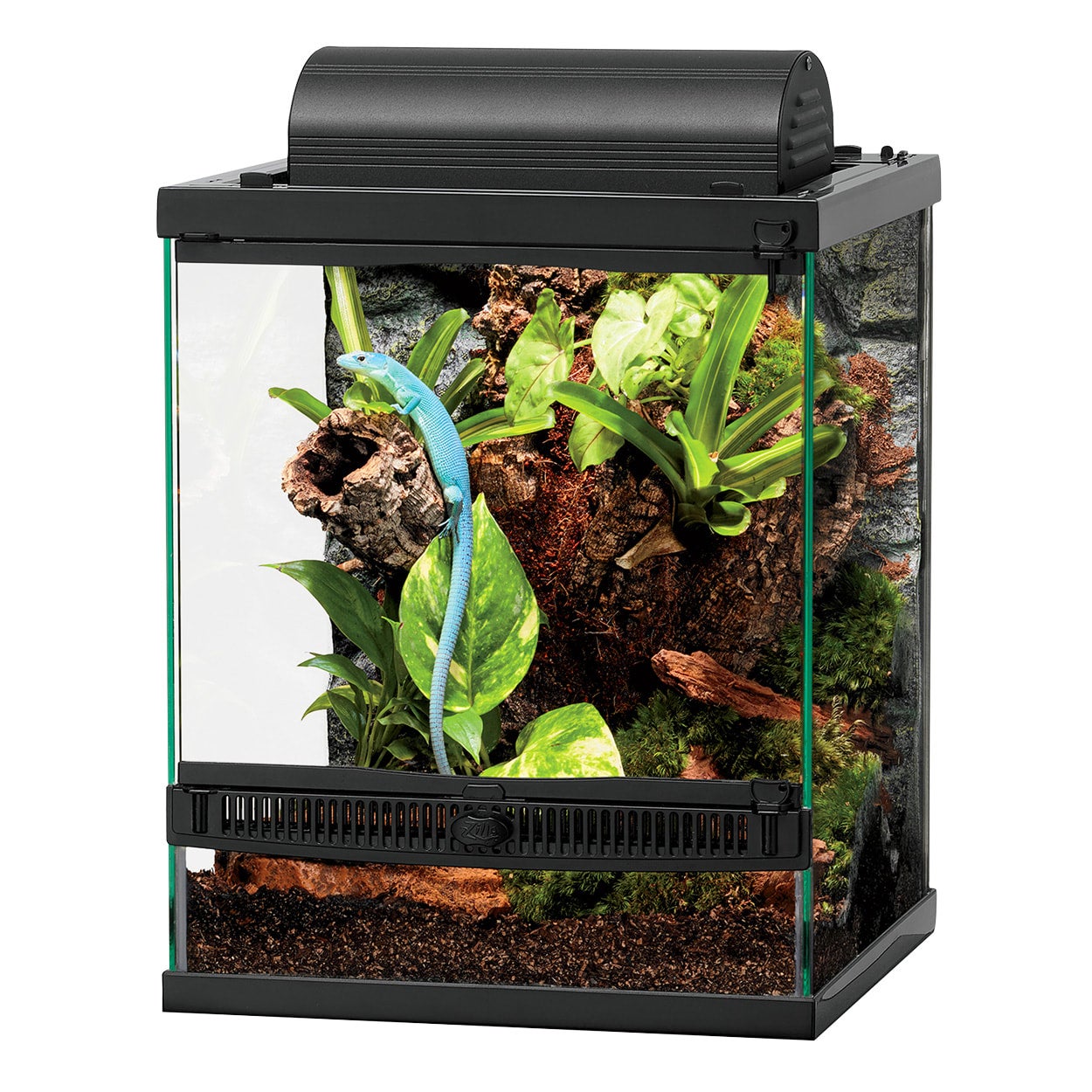 Zilla Front Opening Terrarium - 12" x 12" x 15" | CRAZY FROG LADY L.L.C.