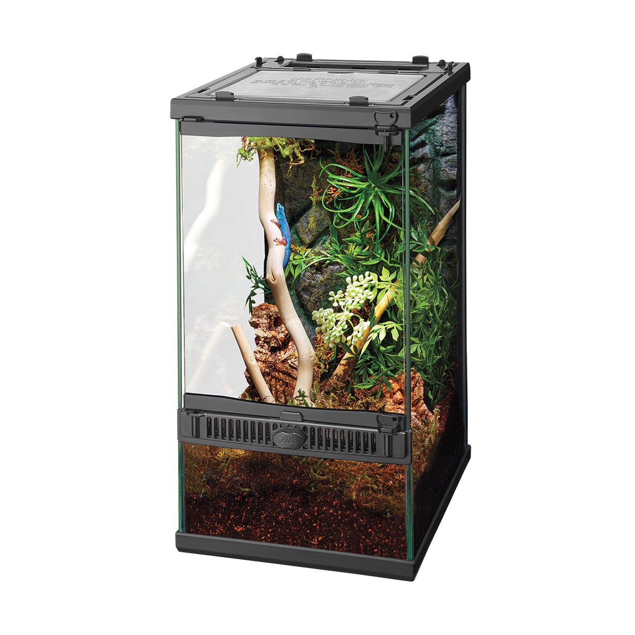 Zilla Front Opening Terrarium - 8" x 10" x 15" | CRAZY FROG LADY L.L.C.