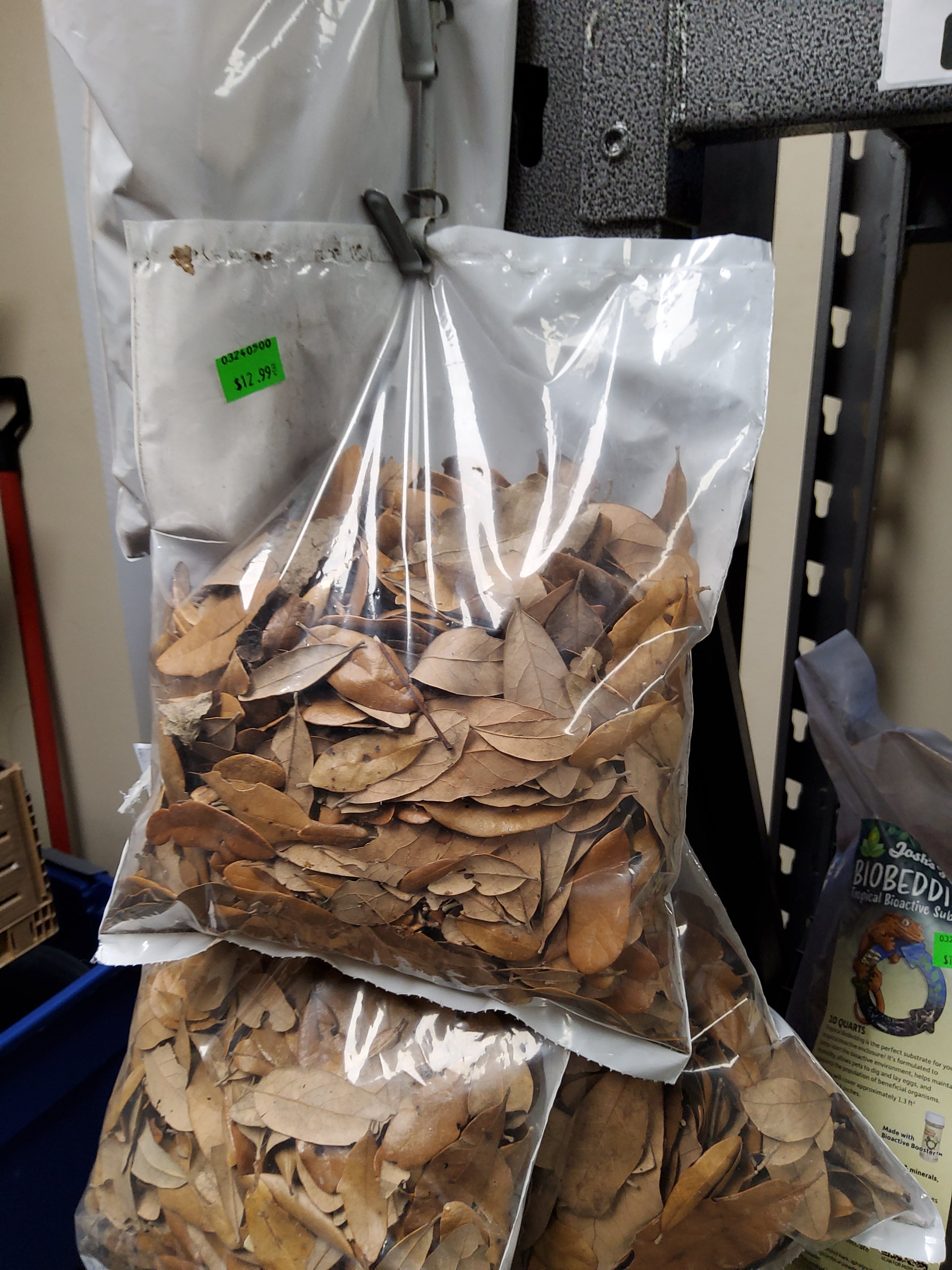 Oak Leaf Litter Bag | CRAZY FROG LADY L.L.C.