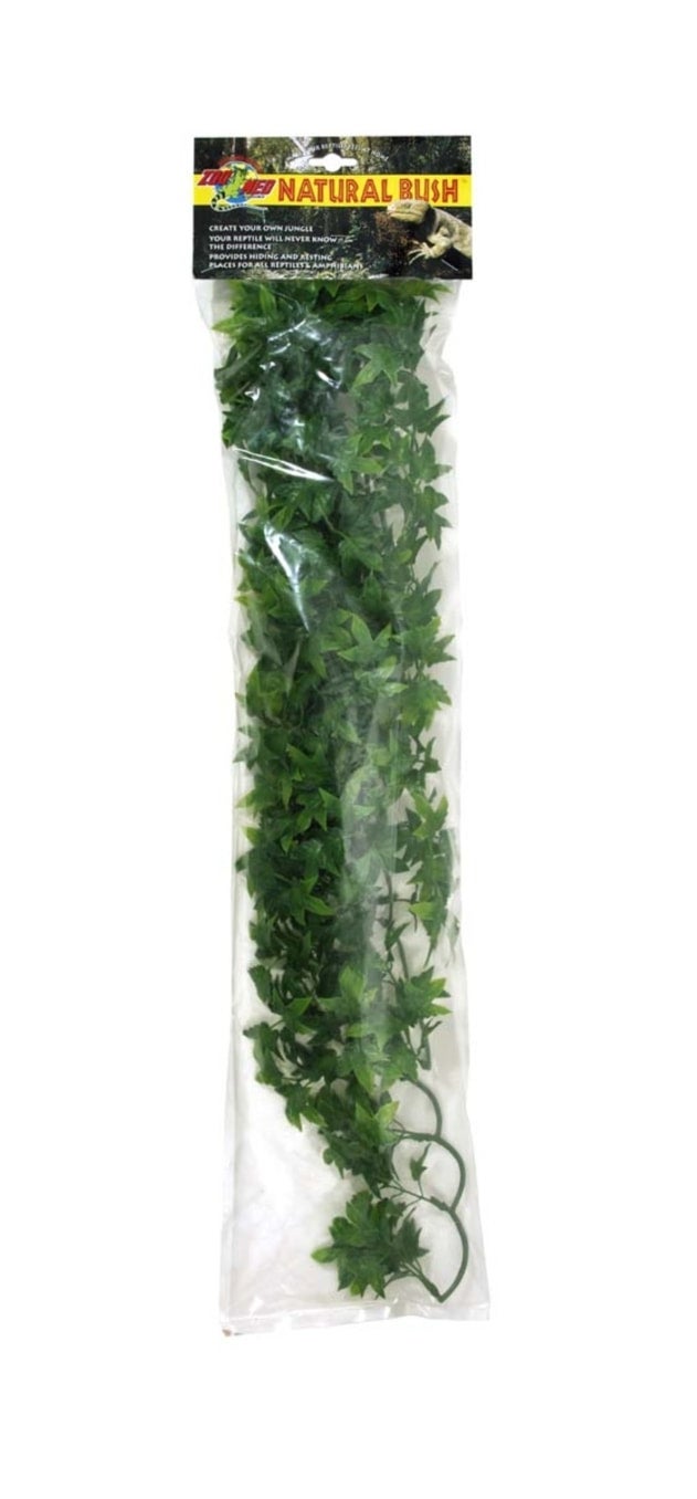 Zoo Med Natural Bush Congo Ivy Plants Green, 22" Large | CRAZY FROG ...