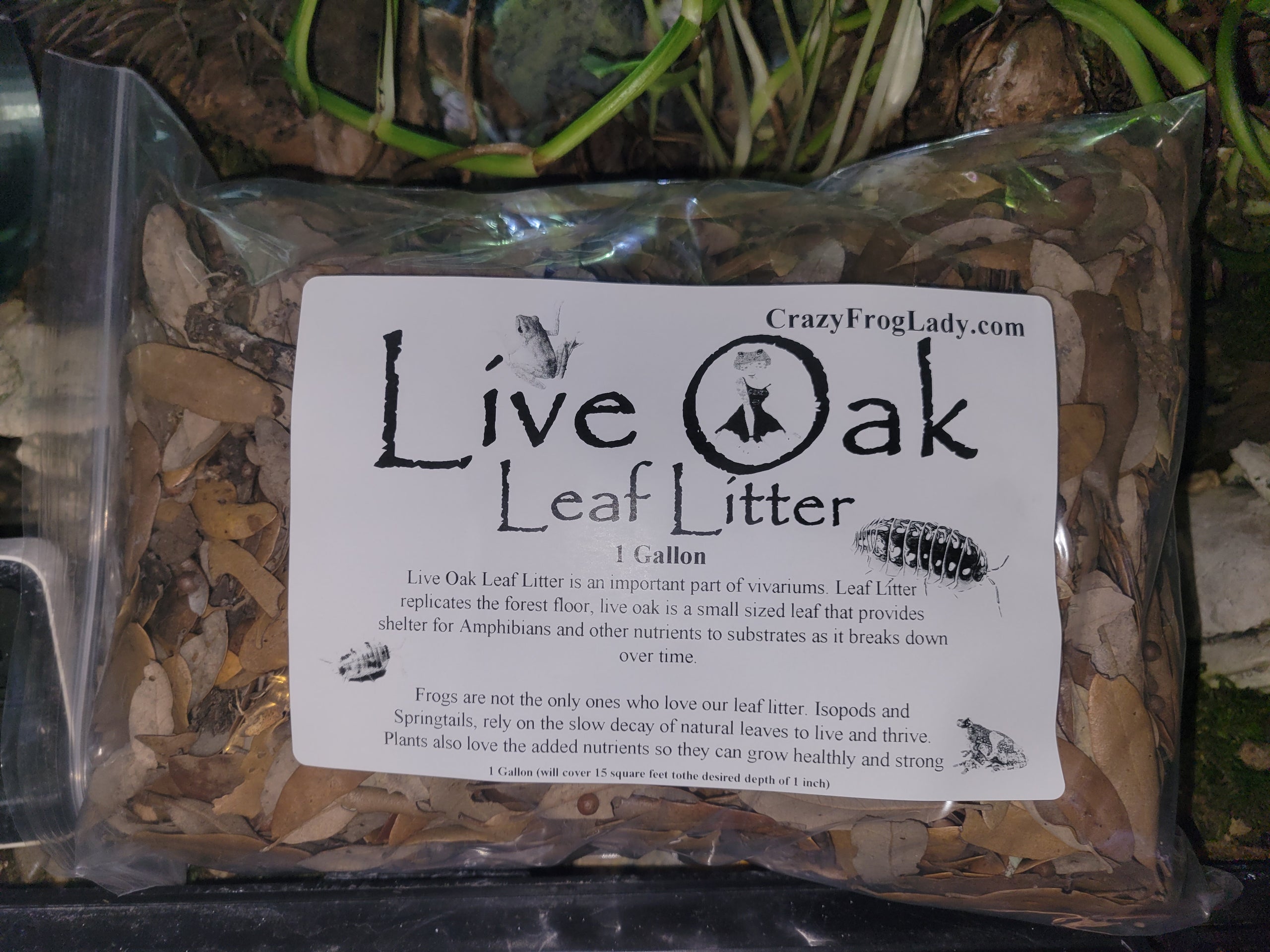 Live Oak Premium Leaf Litter - 1 Gallon Bag | CRAZY FROG LADY L.L.C.